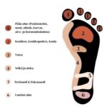 Jalkapohjan akupisteet ja niiden vaikutukset - Hoidaitse.fi